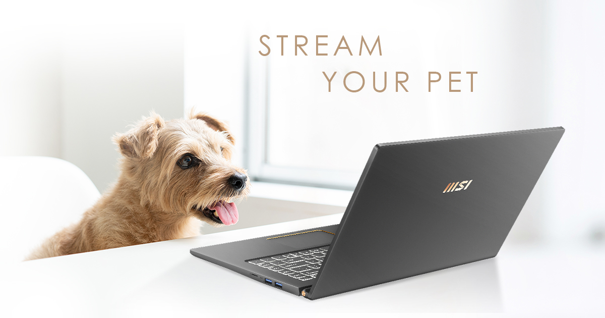 Stream Your Pet