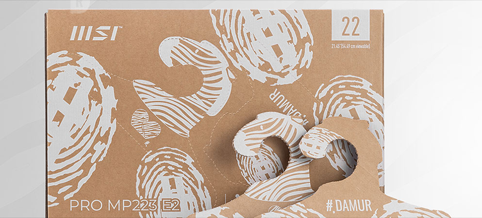 PRO MP223 E2 | Professional Business Monitor for Work and Home | MSI