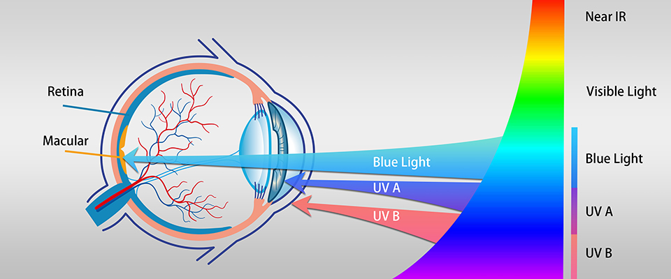 MSI Australia | MSI Australia