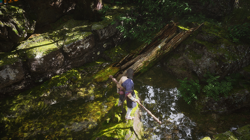 The Best Settings to Play Black Myth Wukong on OLED Monitor – By RTX HDR