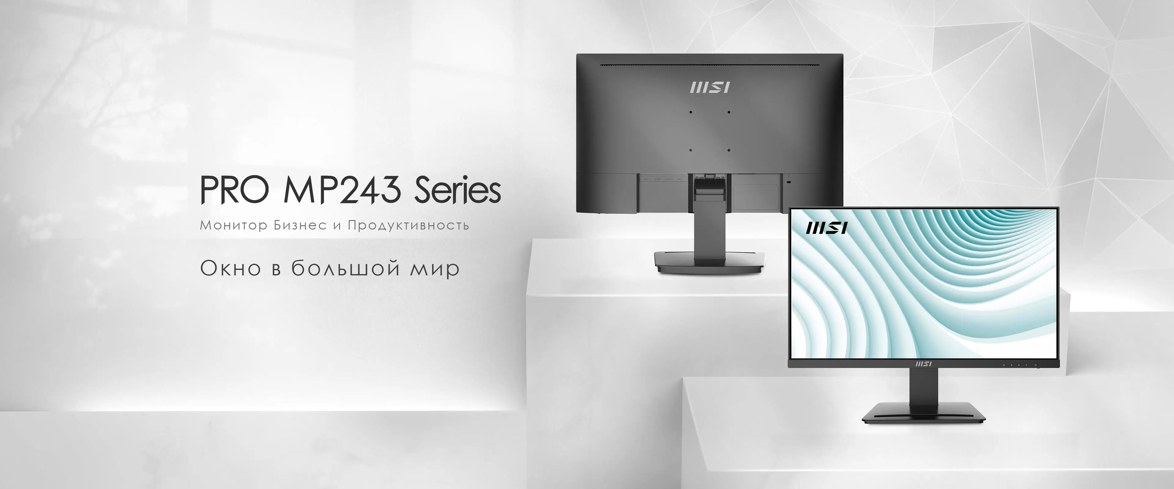 Overview PRO MP243 | MSI Россия